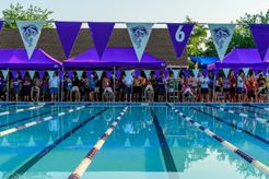 Home - Wellington Dolphins Swim Team